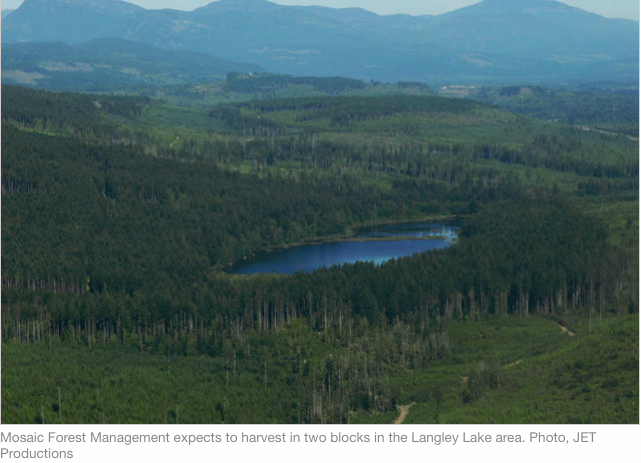 Mosaic commits to logging plans near Langley Lake – allthingsunionbay