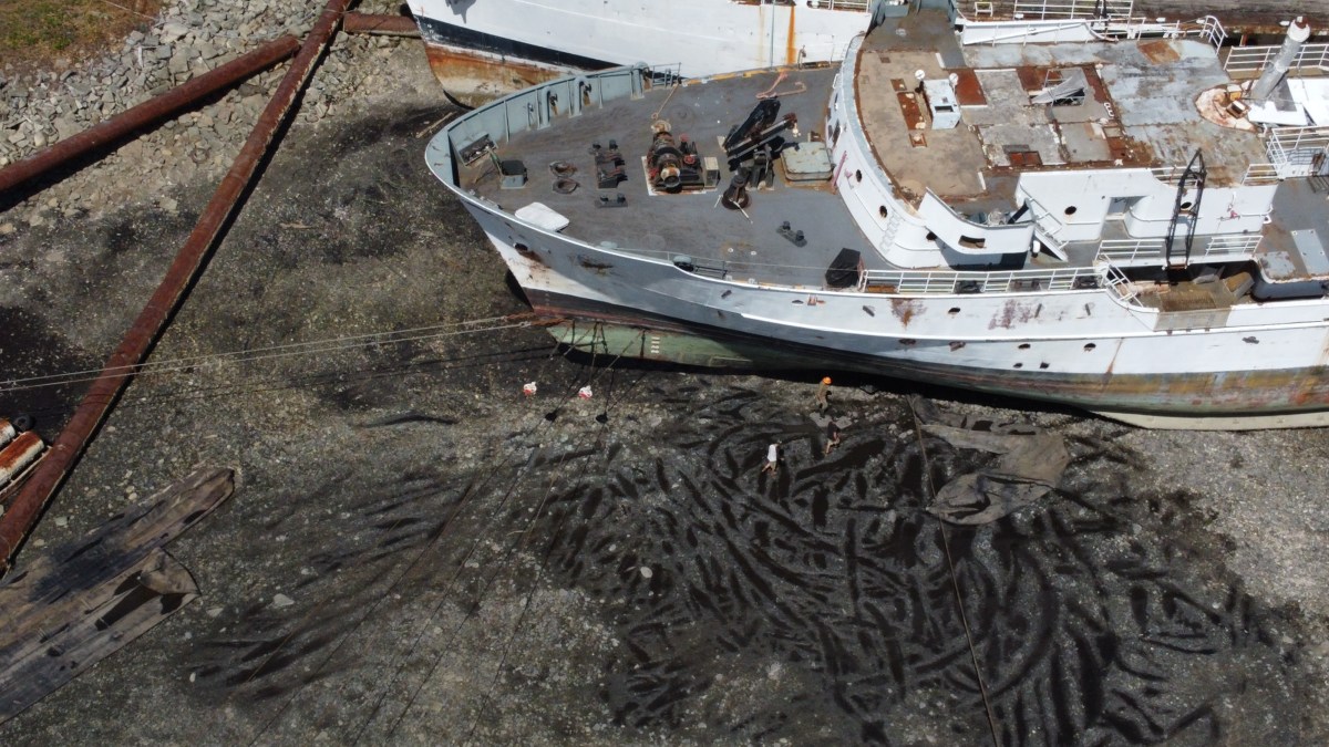 Deep Water Recovery Ship Breaking digging up shoreline – allthingsunionbay